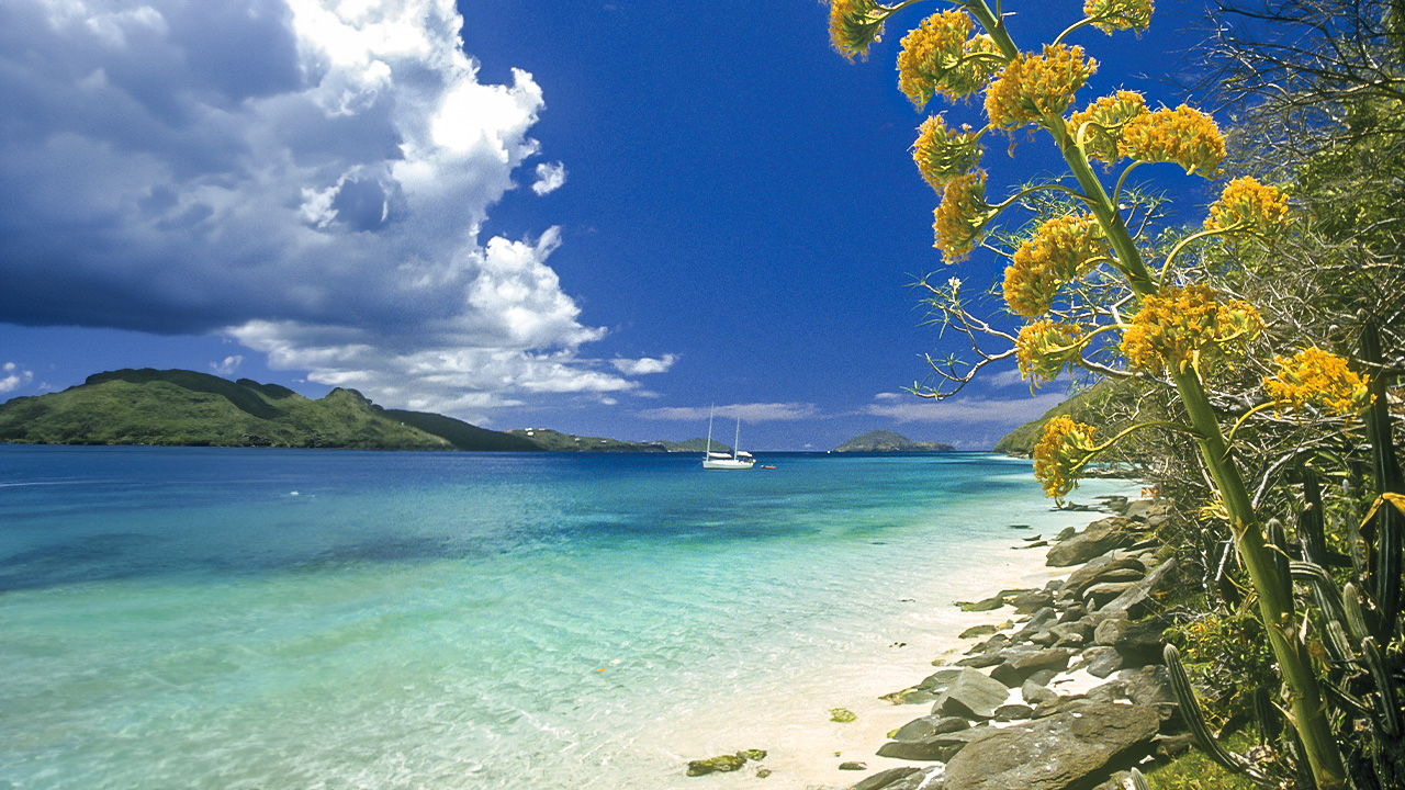 7 Unmissable Caribbean Protected Islands & National Parks - SeaDream ...